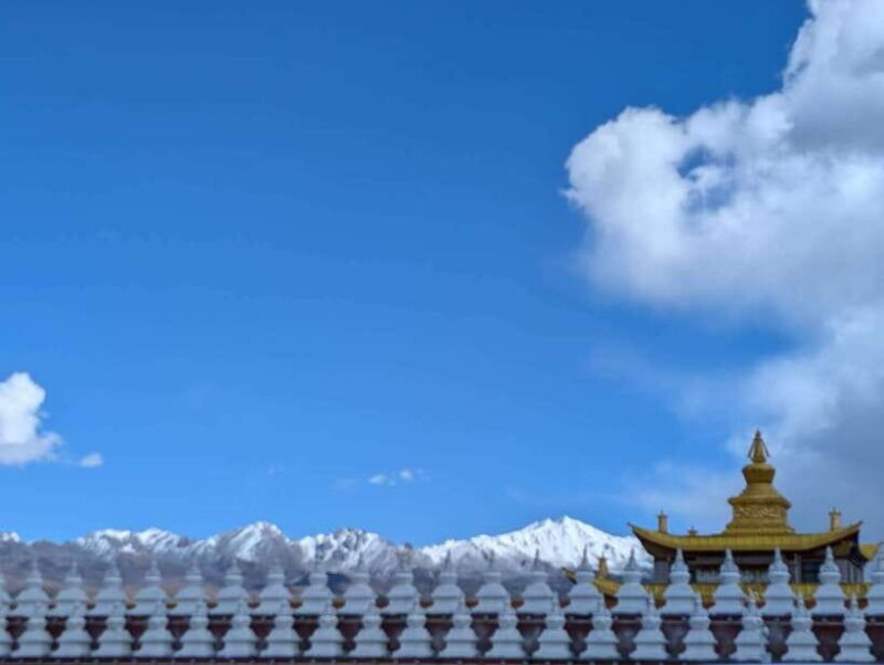 Experience Authentic Chengdu with a Personalized Local Guide - A Detailed Look at the Itinerary