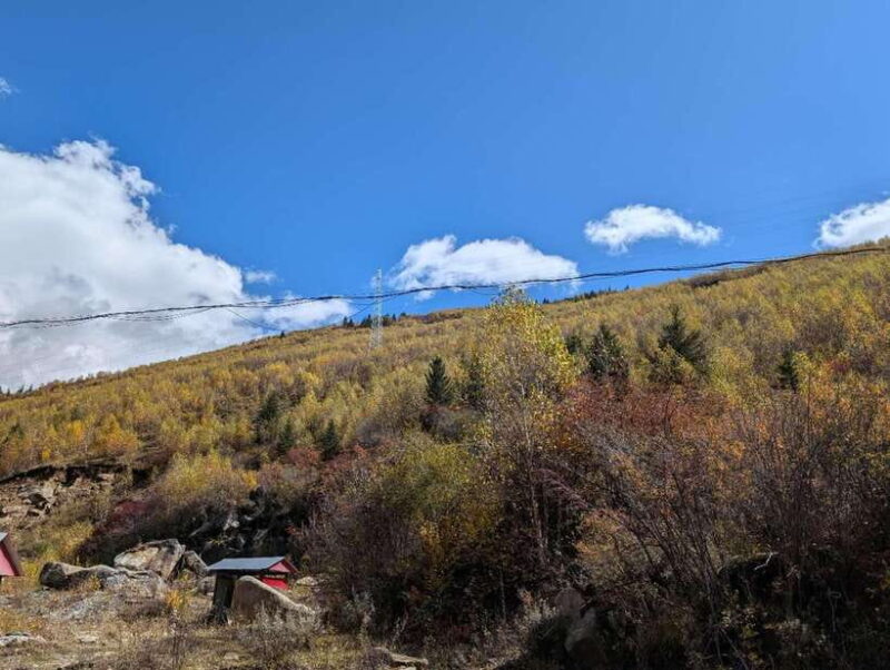 Experience Authentic Chengdu with a Personalized Local Guide - Supporting Your Journey