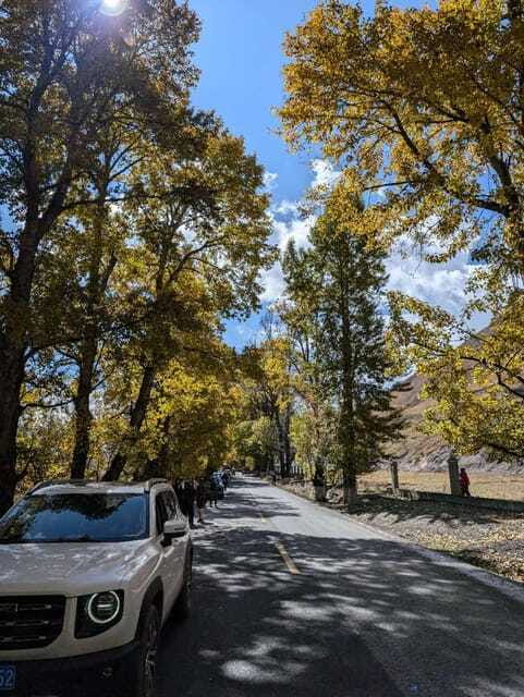 Experience Authentic Chengdu with a Personalized Local Guide - The Sum Up