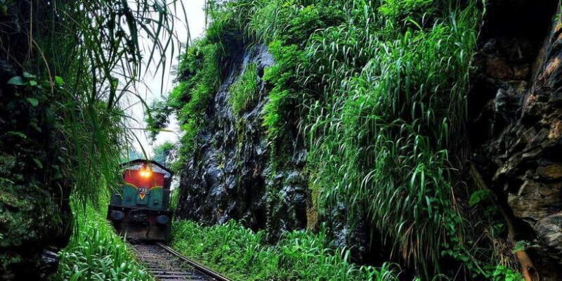 Experience Authentic Sri Lankan Life with Kasun! - Key Points