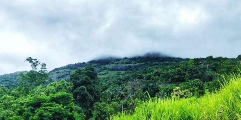 Experience Authentic Sri Lankan Life with Kasun! - Authentic Experiences Worth Expecting