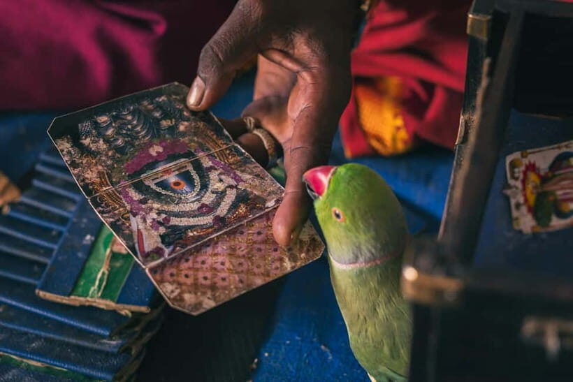 Experience Bangalore - Evening City Walk Tour & Market Visit - FAQs