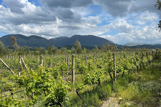 Experience Blue Eye , Lekuresi Castle and Taste Traditional Albanian Wine - Traveler Experiences and Feedback