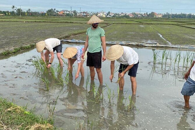 Experience Buffalo Ride and Farmer in Hoi An - An In-Depth Look at the Tour Experience
