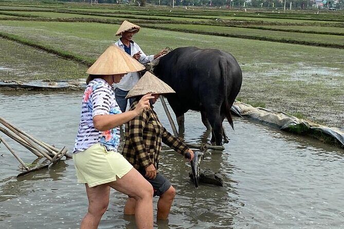 Experience Buffalo Ride and Farmer in Hoi An - Final Thoughts