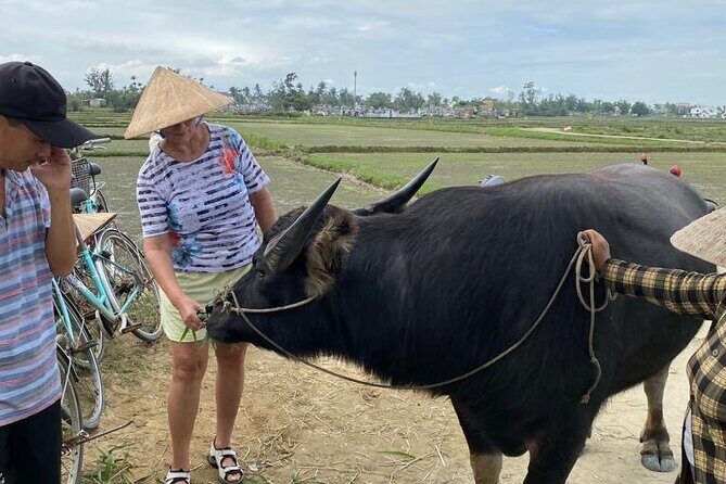 Experience Buffalo Ride and Farmer in Hoi An - FAQ