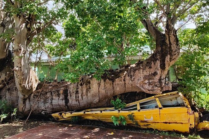 Experience City with Bus Hop on Hop Off Tours - An In-Depth Look at the Tour Experience