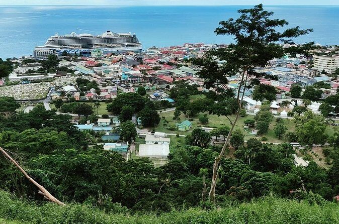 Experience City with Bus Hop on Hop Off Tours - The Sum Up