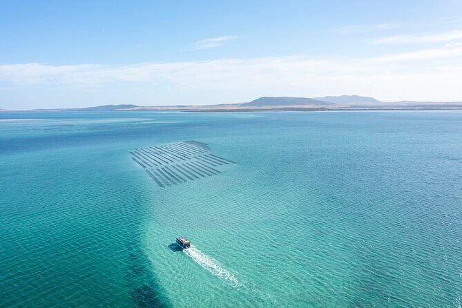 Experience Coffin Bay Oyster Farm and Bay Tour - Practical Details: What You Need to Know