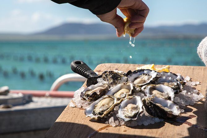 Experience Coffin Bay Oyster Farm and Bay Tour - Who Will Love This Experience?