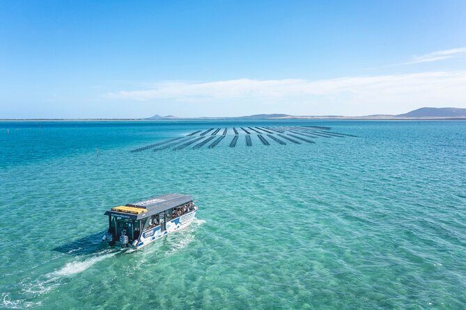 Experience Coffin Bay Oyster Farm and Bay Tour - FAQs