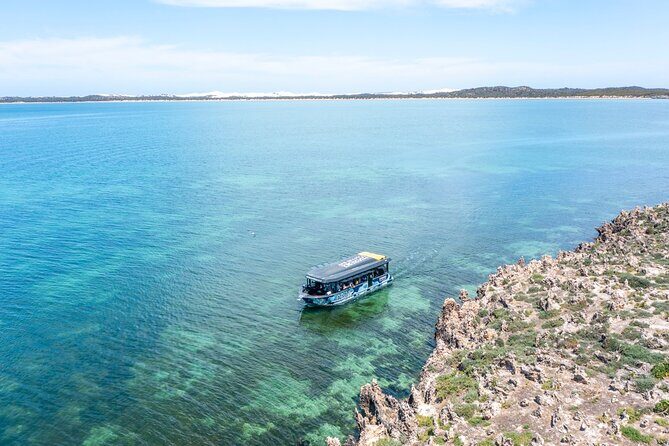 Experience Coffin Bay Short and Sweet Oyster Farm Tour - FAQ