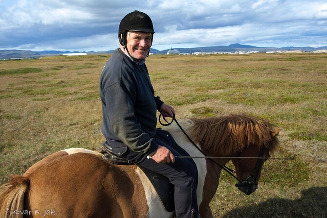 Experience Countryside of Iceland by Horseback Riding - What the Reviews Tell Us