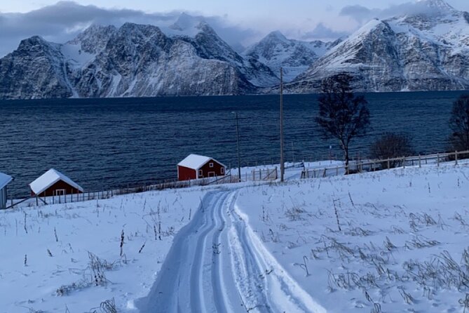 Experience Cross-Country Adventure in Tromsø - Scenic Skiing Through Nature