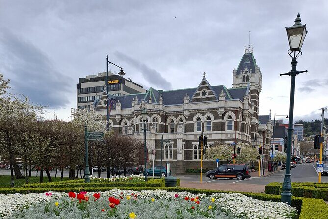 Experience Dunedin and Otago Peninsula Tours up to 8 people - An In-Depth Look at the Dunedin and Otago Peninsula Private Tour