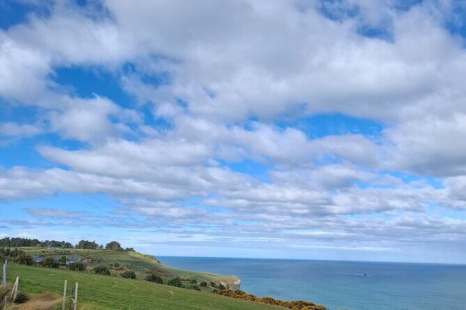 Experience Dunedin and Otago Peninsula Tours up to 8 people - Why This Tour Works