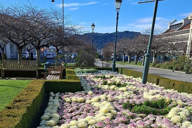 Experience Dunedin and Otago Peninsula Tours up to 8 people - Final Thoughts