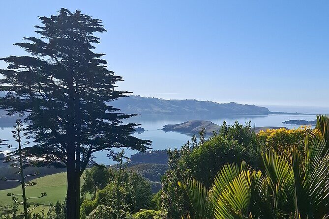 Experience Dunedin and Otago Peninsula Tours up to 8 people - FAQ