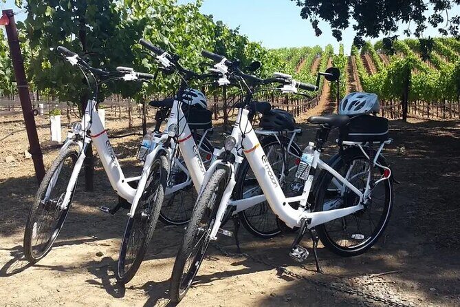 Experience E-Bike with Wine Tasting Activity - Exploring Sedona’s Unique E-Bike and Wine Tasting Tour