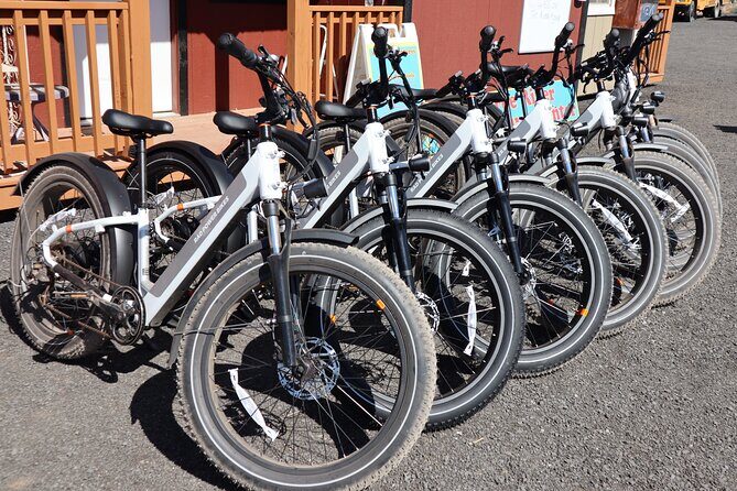 Experience E-Bike with Wine Tasting Activity - Value and Pricing: Is It Worth It?