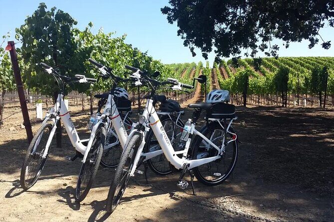 Experience E-Bike with Wine Tasting Activity - Practical Details and Tips