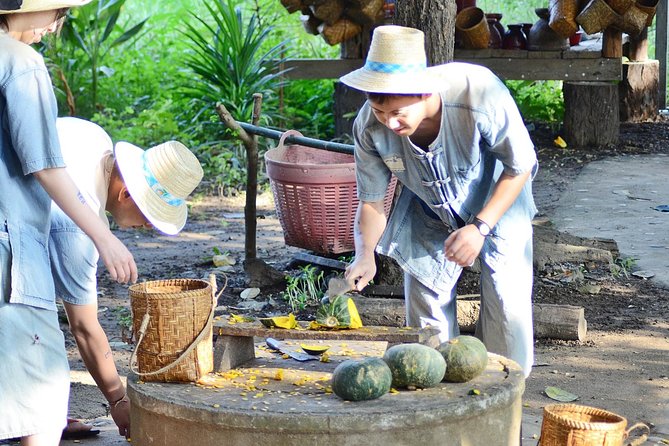 Experience Elephant Sanctuary + Sticky Waterfall - How the Tour Compares to Other Experiences
