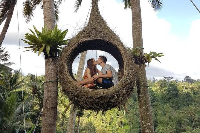 Experience Full Day to Bali Swing Temple and Monkey Forest - Practical Details and Considerations