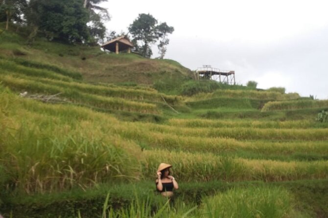 Experience Full Day to Bali Swing Temple and Monkey Forest - Authentic Experiences and Authenticity