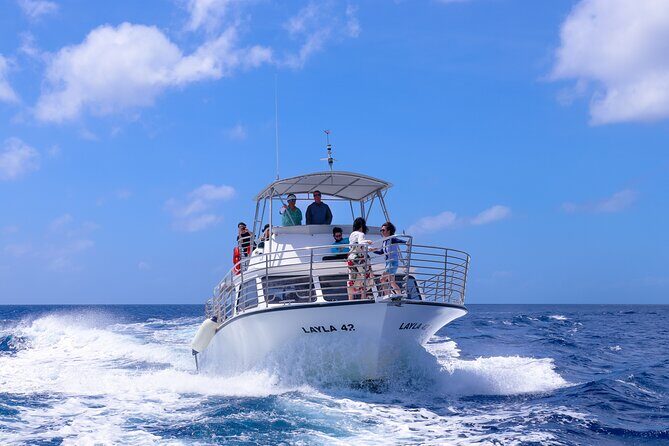 Experience Guam Dolphin Cruise - Why This Tour Offers Good Value