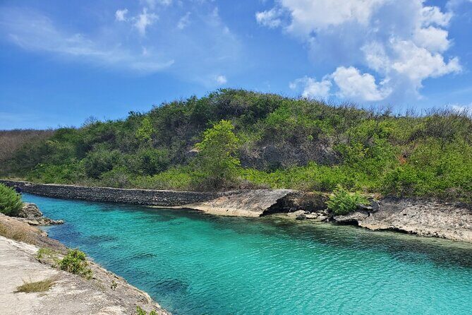 Experience Guam Dolphin Cruise - Authenticity and Experience Quality