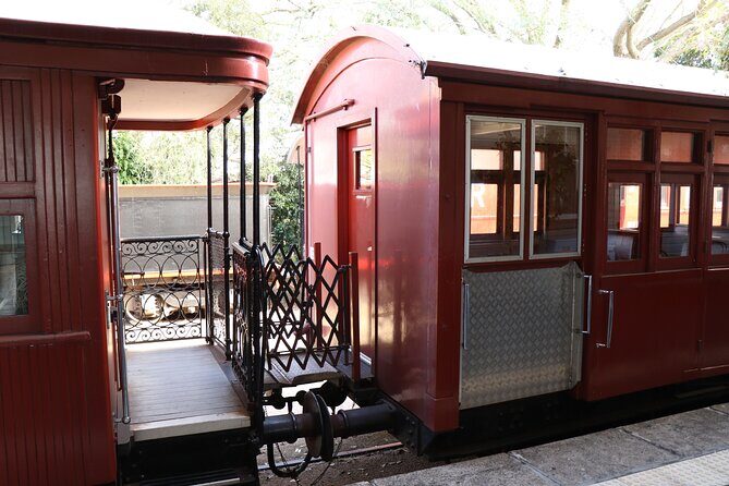 Experience History onboard The Mary Valley Rattler - Authentic Insights from Reviews