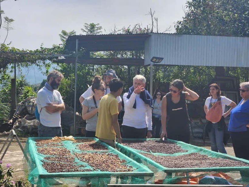 Experience how to make coffee from a sustainable farm Dalat - Tasting Unique Brews