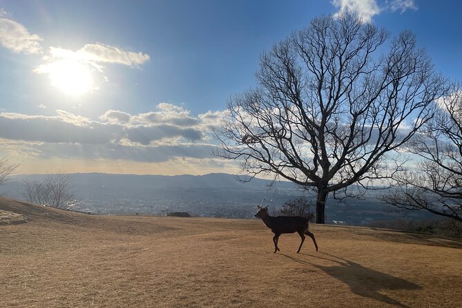 Experience Kyoto: A Full-Day Private Tour Adventure - Meeting and Pickup Information