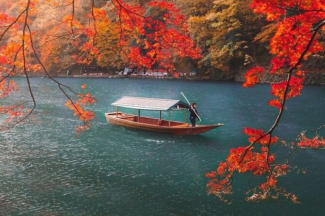 Experience Kyoto: A Full-Day Private Tour Adventure - Vehicle and Accessibility Details