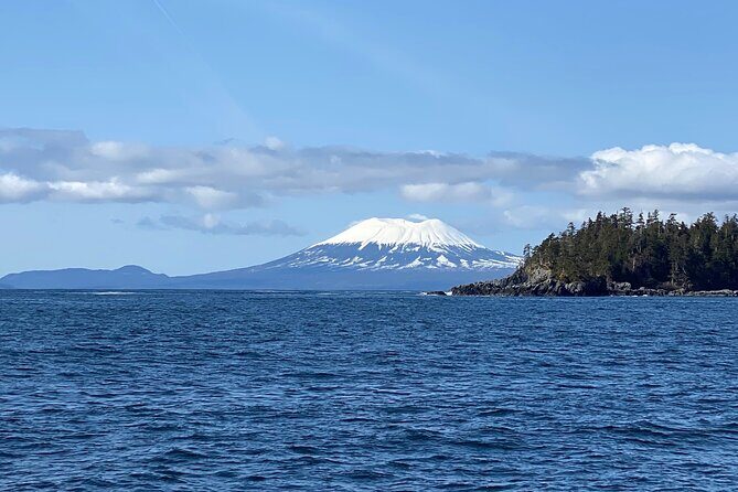 Experience Local Marine Wildlife Tour - Authentic Feedback from Travelers