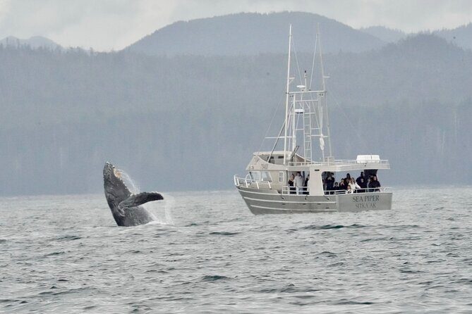Experience Local Marine Wildlife Tour - Who Will Enjoy This Tour?