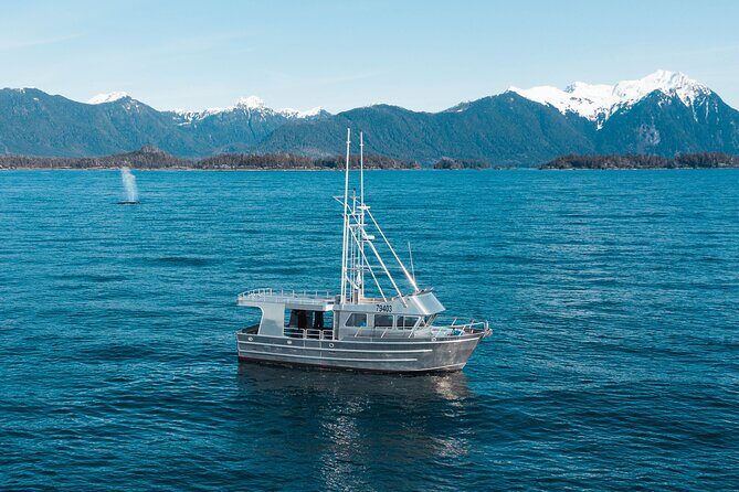 Experience Local Marine Wildlife Tour - The Sum Up: Is It Worth It?