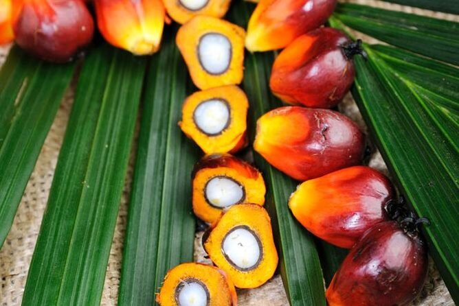 Experience Malaysia: Authentic Malaysia Cooking Tour - Who Will Love This Tour?