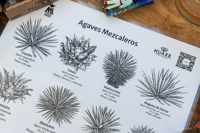 Experience mezcal science tasting and lecture Oaxaca - What to Expect during the Tour
