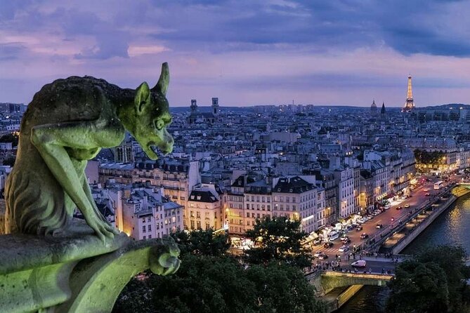 Experience Notre Dame De Paris Exterior & Île De La Cité Tour - Accessibility Features