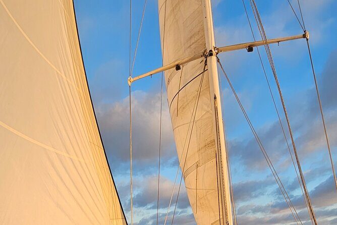 Experience Oceanside Sailing with Whales and dolphins! - The Experience Begins
