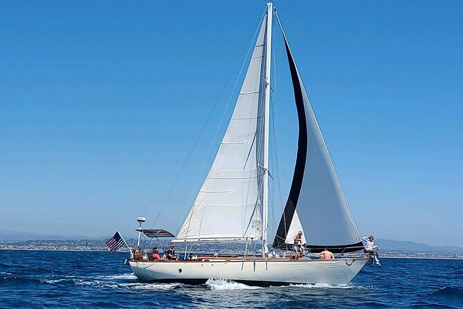 Experience Oceanside Sailing with Whales and dolphins! - Meeting Point and Logistics