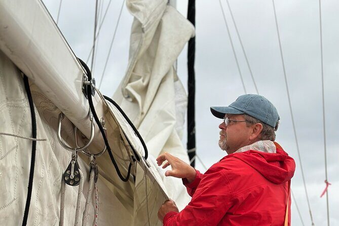 Experience Oceanside Sailing with Whales and dolphins! - What the Reviews Say