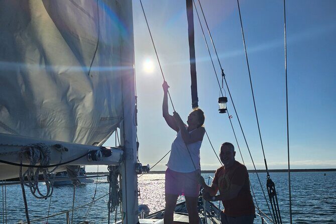 Experience Oceanside Sailing with Whales and dolphins! - Analyzing Value and Practicality