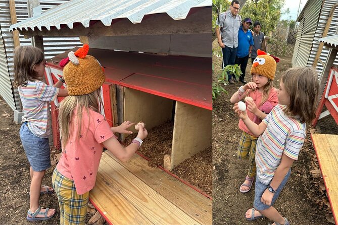 Experience: Organic Coffee, Avocados, Honey & More! - Tour Details