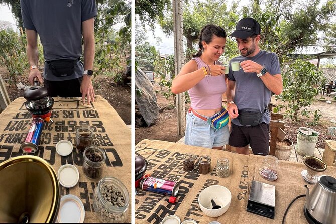 Experience: Organic Coffee, Avocados, Honey & More! - Hands-On Activities