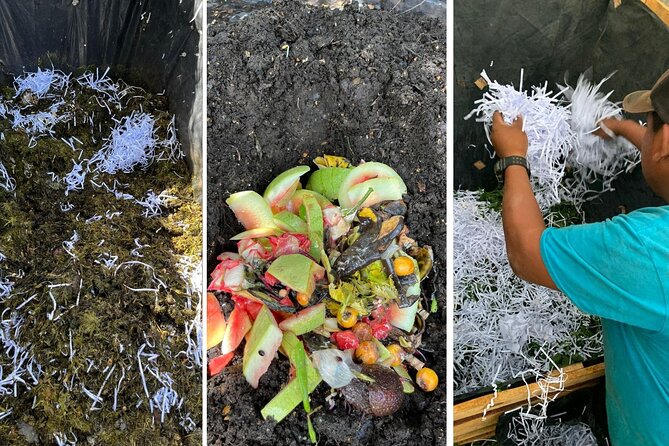 Experience: Organic Coffee, Avocados, Honey & More! - Sustainable Farming Practices