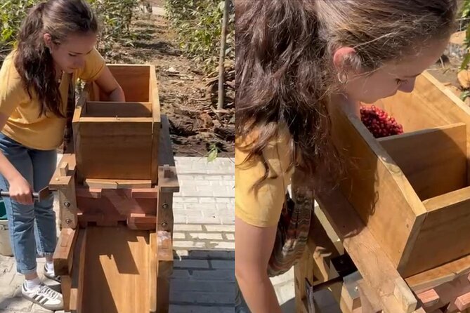 Experience: Organic Coffee, Avocados, Honey & More! - Delicious Food and Tastings