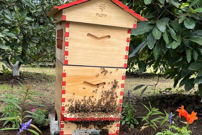 Experience: Organic Coffee, Avocados, Honey & More! - Accessibility and Engagement