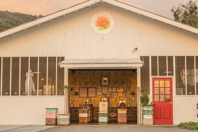 Experience Our Honey Farm And Beekeeping Tour - Visitor Experience and Reviews